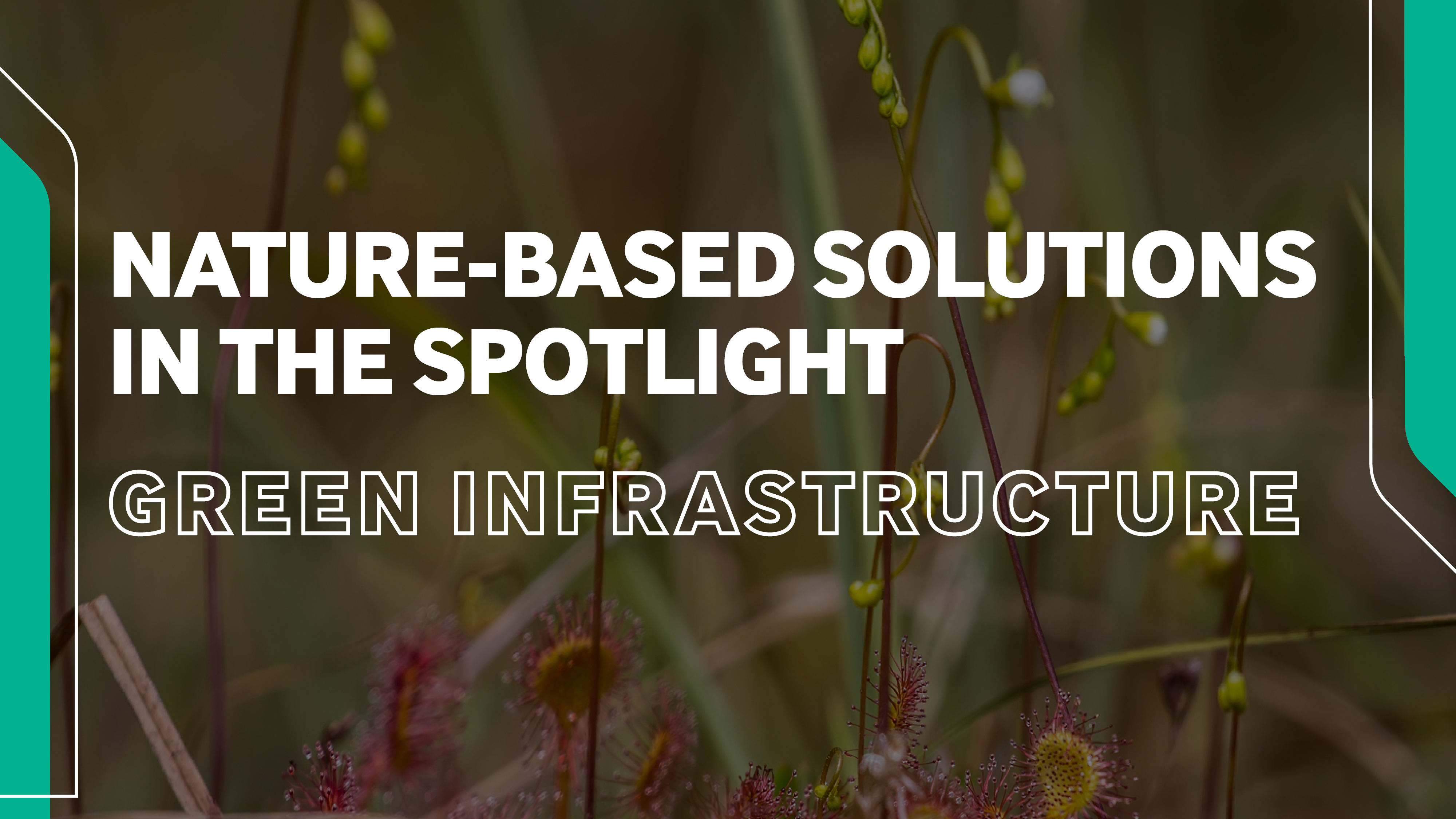 Spotlight on Nature-based Solutions - video series | RPS