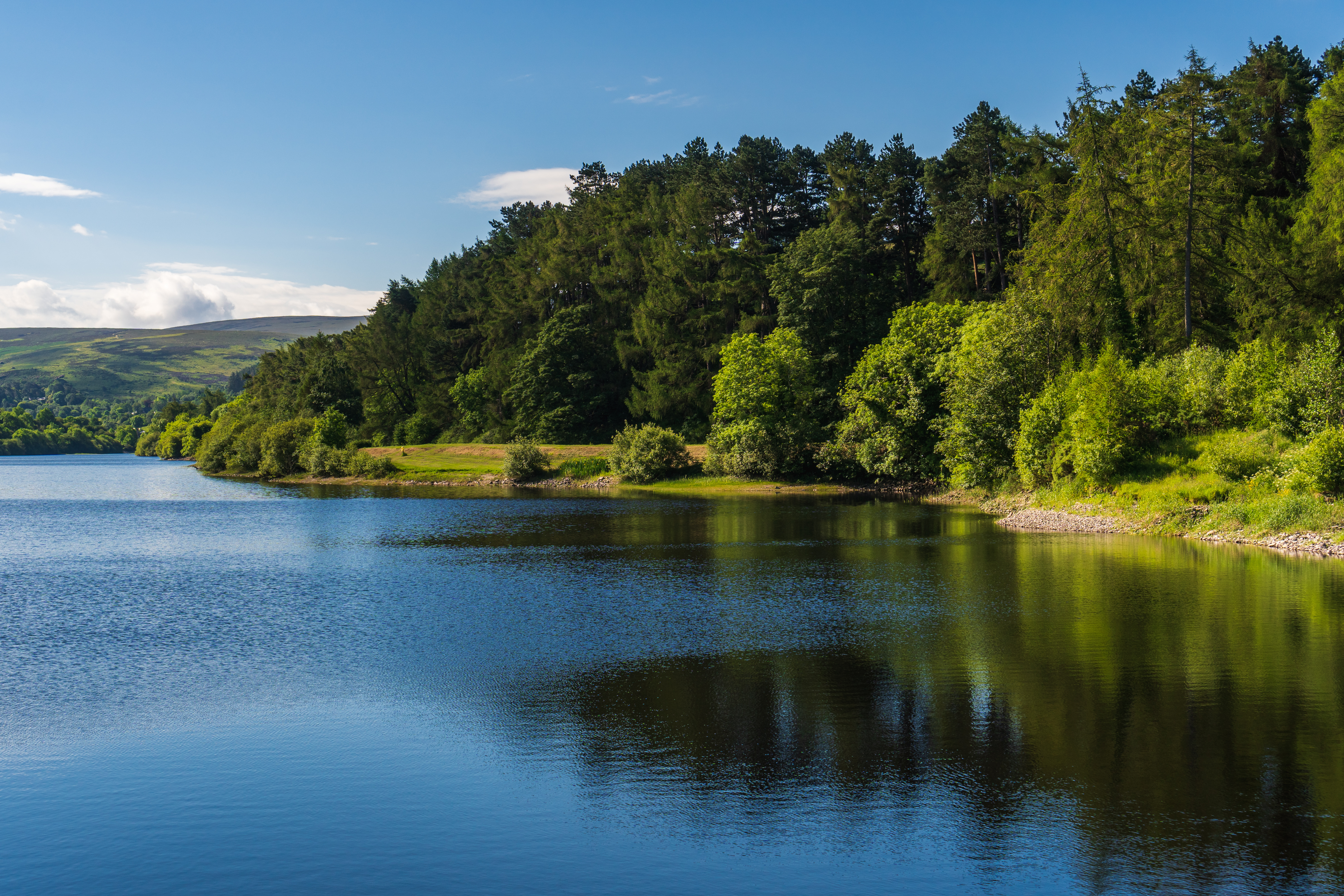 An Interview with Rob Rowlands, Director of Ecology | RPS