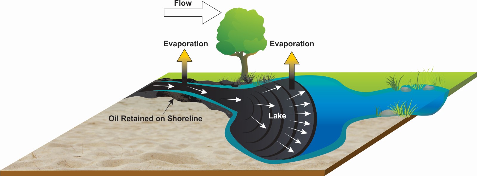 Oil spill modelling for Enbridge Line 3 Replacement | RPS