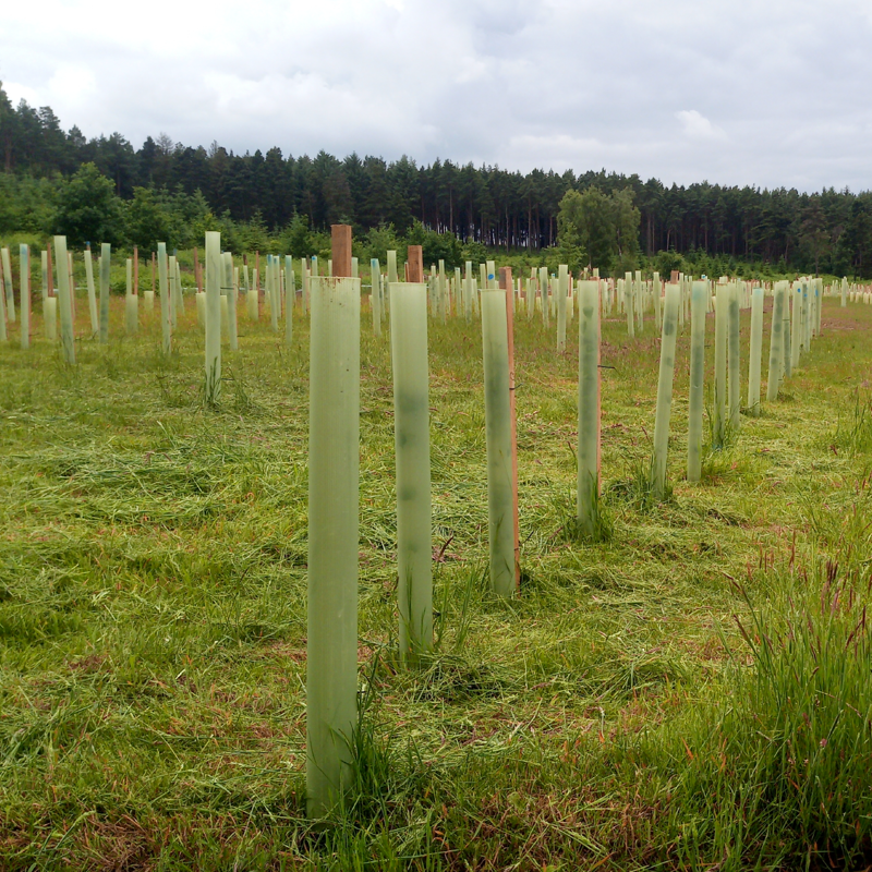 Nature-based solutions for landowners | RPS